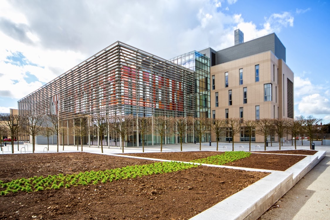 Hadyn Ellis Building, Cardiff University - netMAGmedia Ltd