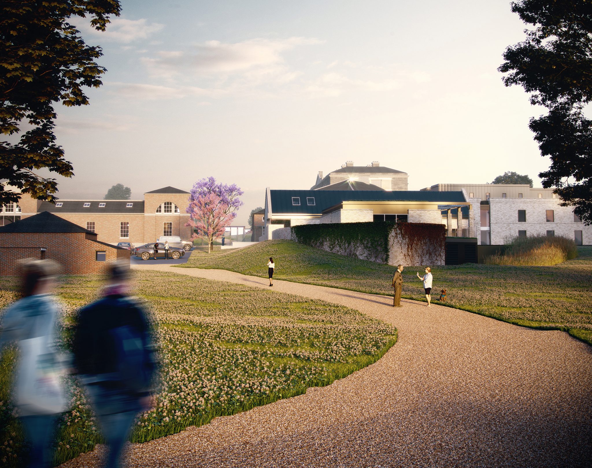 Assael Architecture - netMAGmedia Ltd